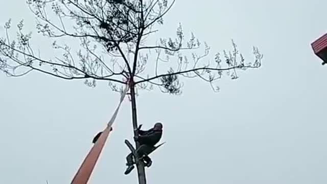 真是高手在民间,这砍树方法还是第一次见,也不怕危险!