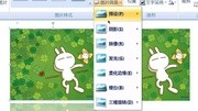 word2010如何为图片删除取消镜面映像对称效果