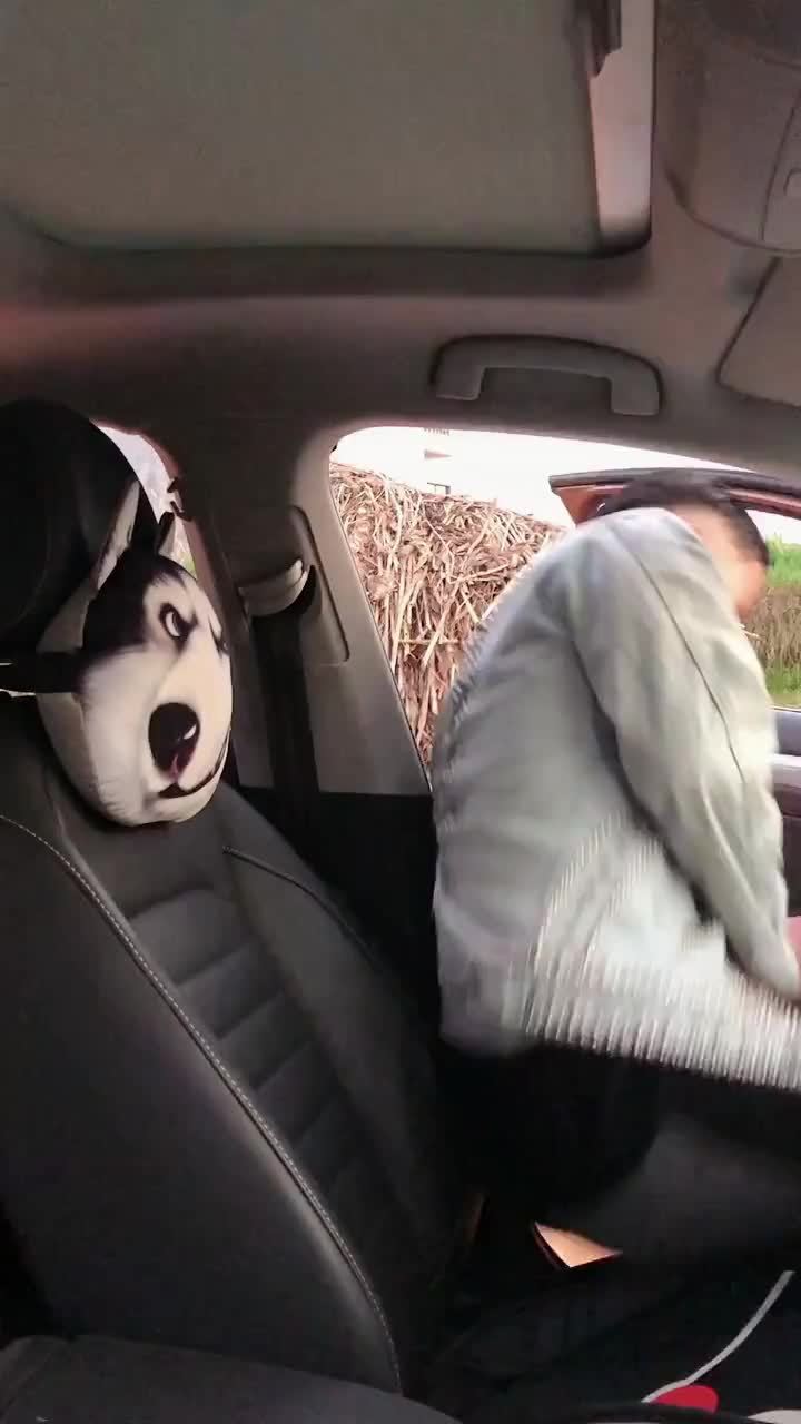 我的驾驶证是自动挡,你给我整个手动挡,你叫我怎么开!