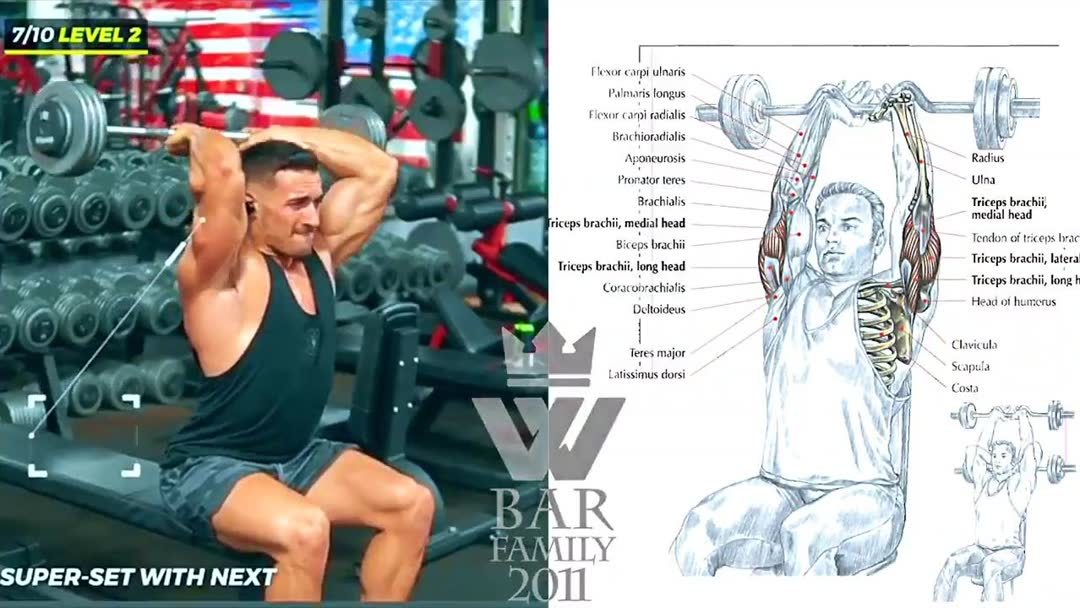 【全身训练计划】超高CP值10个动作,帮你锻炼全身肌肉