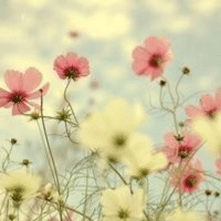 陶芸说游戏