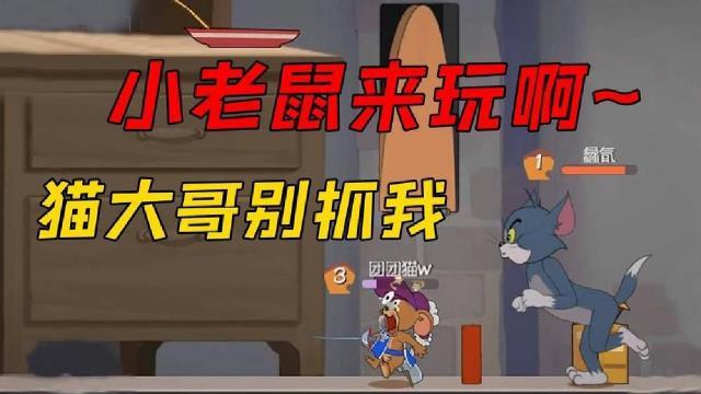 猫和老鼠手游:人生赢家汤姆猫,配合才是关键,老鼠拿它没办法!