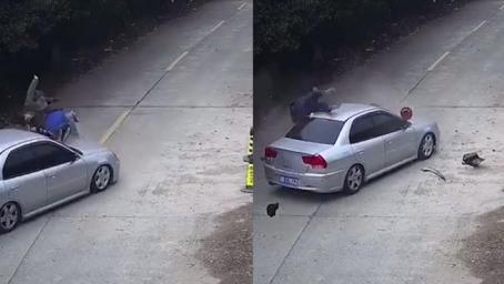 宁波一电动车主被汽车撞上车顶后滚落地面,交警调查竟是“酒驾”撞...