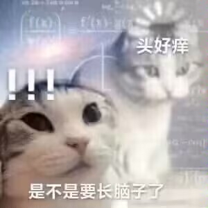 无敌老钱钱 
