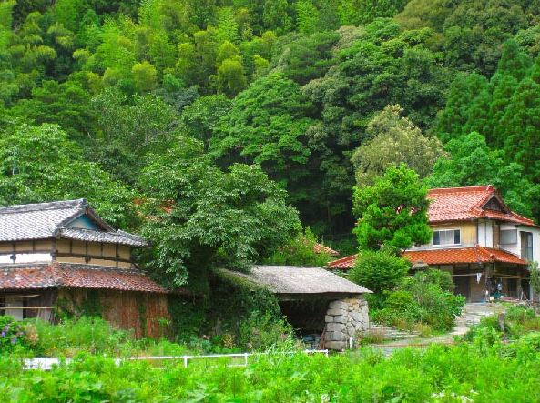 农民小盛 