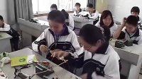 伏安法测电阻浙教版_八年级初二科学优质课