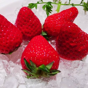 小马快来写字啦 