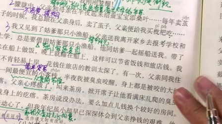 五上语文《父爱之舟》第三课时