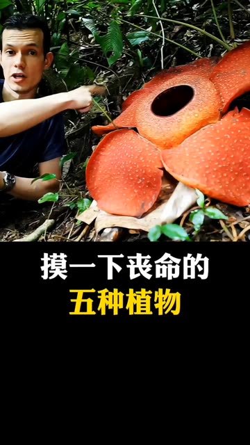 世界上最毒的五种植物,最后一种千万别靠近