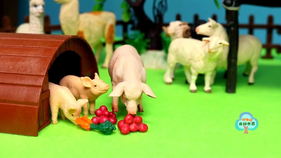 动物园丛林世界 第35集 吃食物的小动物