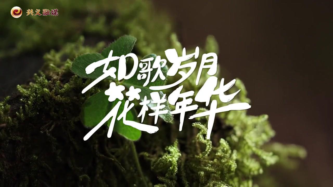 #春日花海DOU看贵州#《如歌岁月,花样年华》--梦里想见的人是你,梦...