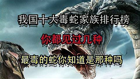 我国十大最毒蛇类排行榜,你都知道有那些,最毒的蛇你见过吗