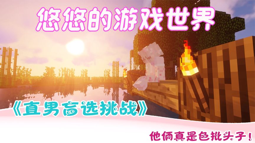 我的世界:直男盲选挑战,303和him完败