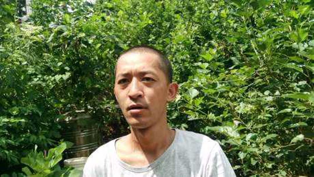 广东有野蚕吗?野生蚕长什么样,你见过吗?