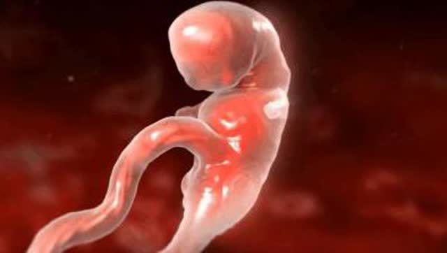 一分钟看懂生命诞生过程,真神奇