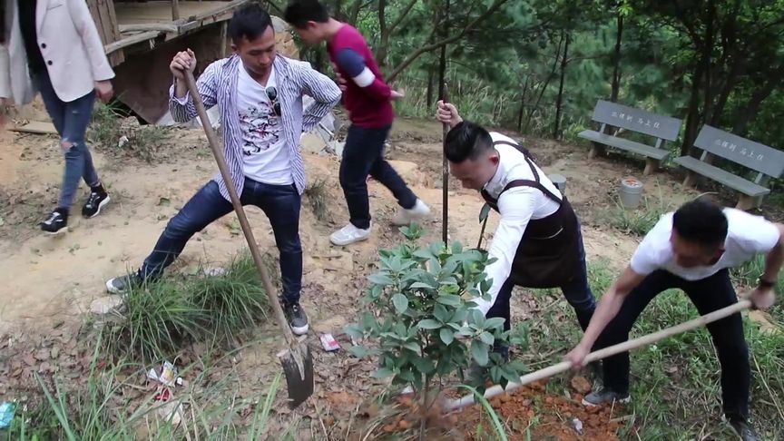 广西小虎团队植树节义务植树全程记录让地球充满健康环保绿色家园