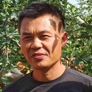 唐老师果园展视 