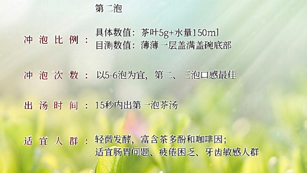 梵蕓号 | 万能的冲泡公式ߍ�这样泡茶保证不会错