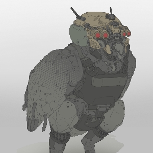 鸽子122坐不更名 