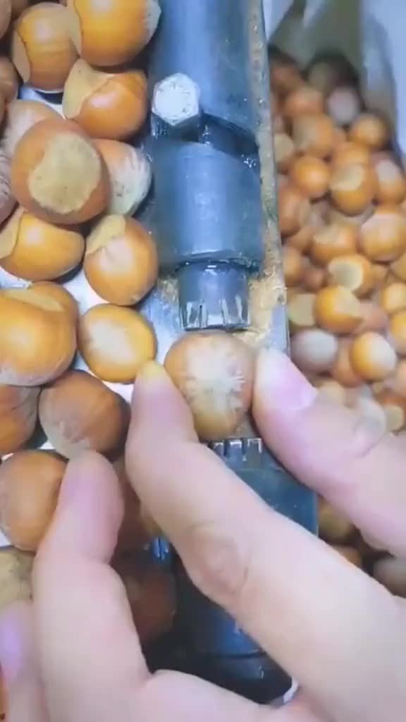 开口器#开口器#坚果#榛子#栗子