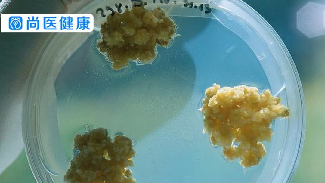 软组织恶性肿瘤的常见症状有哪些?只要中了一个就要小心!