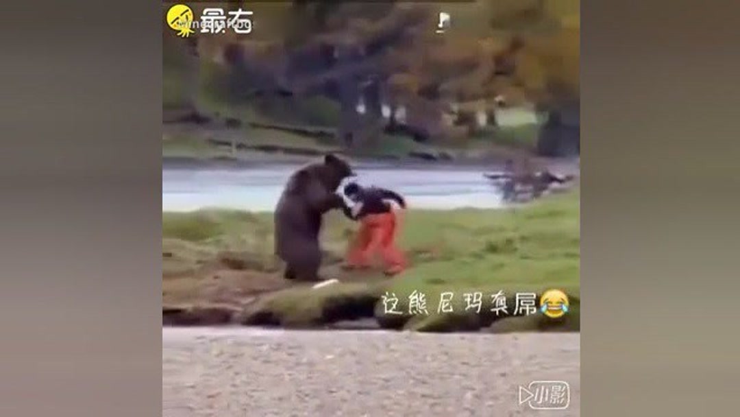 【战斗民族日常】战斗民族同熊打架