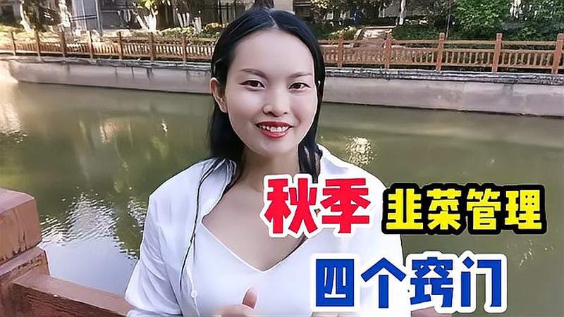 秋季种植韭菜,这四个管理窍门,一定要知道