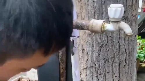 水管冻住还在用热水浇水管?错误,是这点没做好