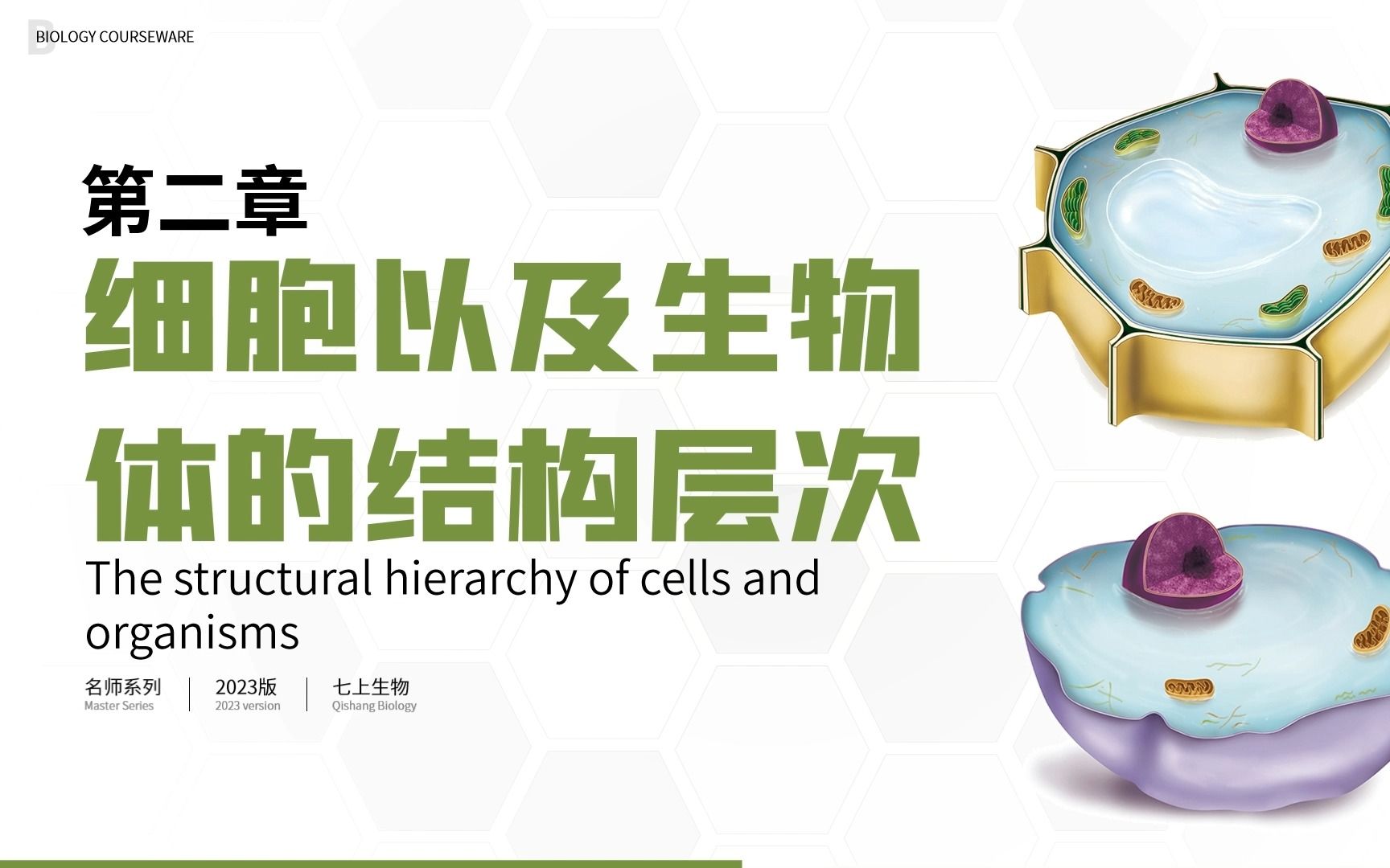 人教版黄冈生物中考复习课件|第二章 细胞以及生物体的结构层次(名师...