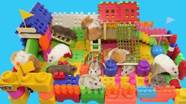 仓鼠DIY屋:用积木玩具给小仓鼠制作多功能房子,太有创意啦!