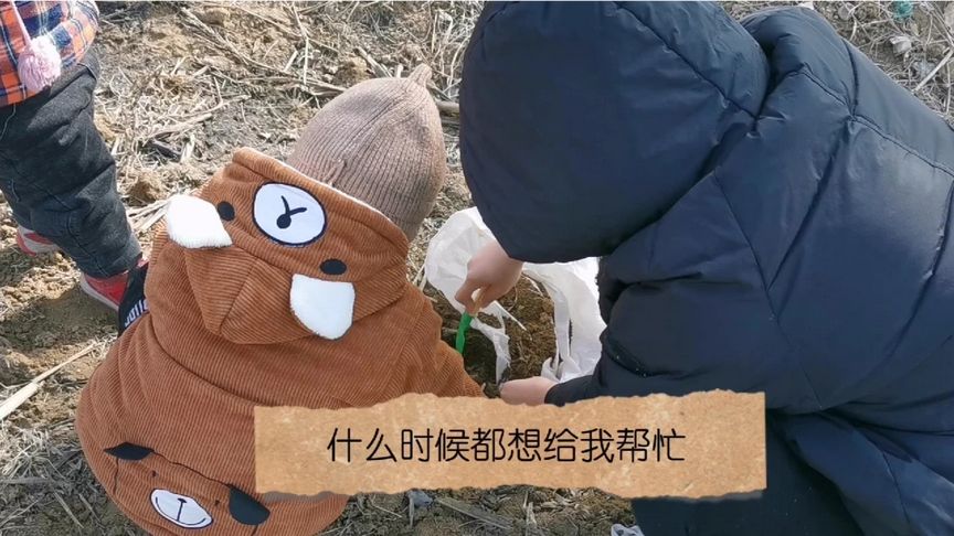 去别人家的地头找点土,回来种点蒜苗,感觉像做贼