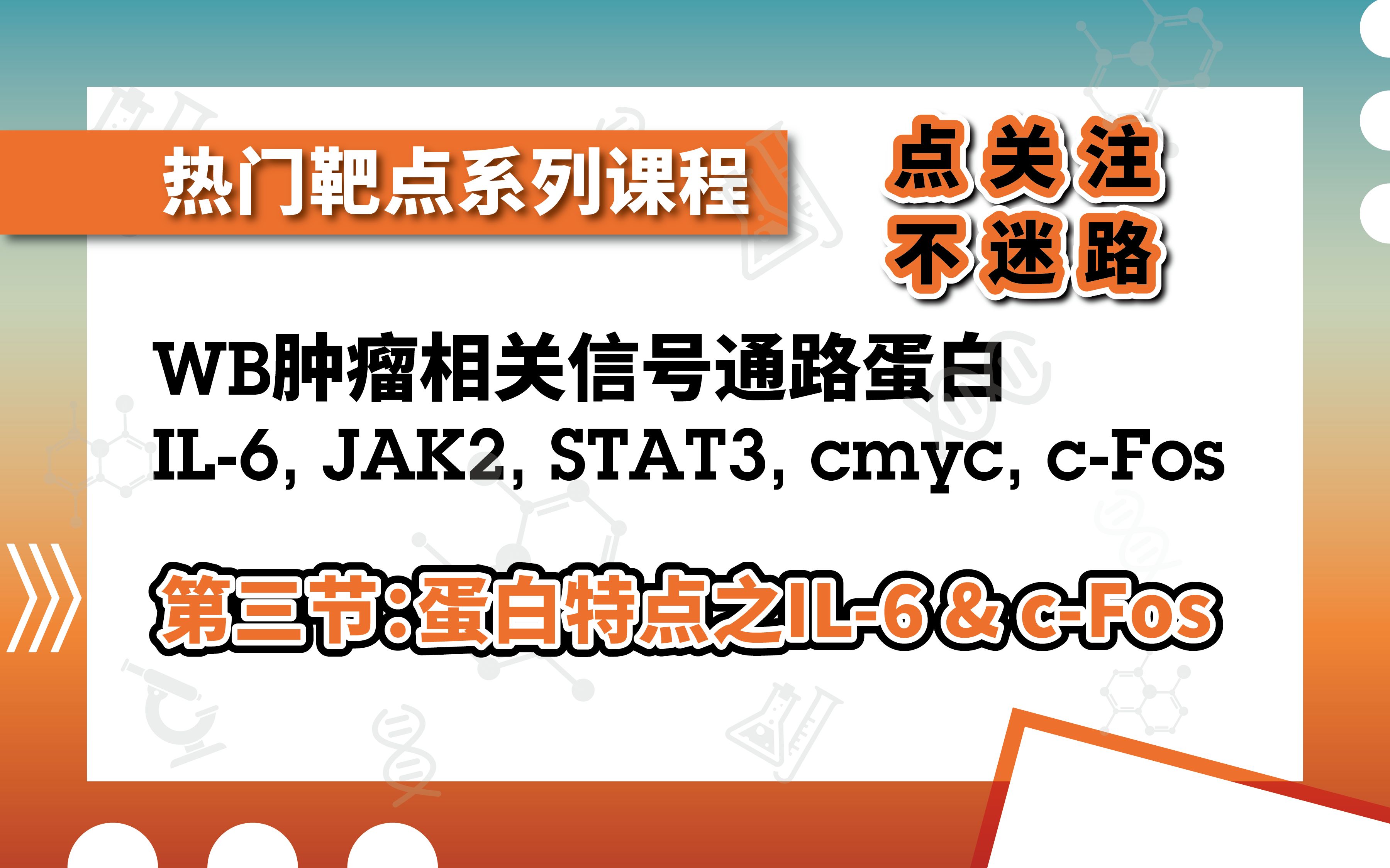 诱导表达很重要?IL-6 c-Fos蛋白检测全面解答