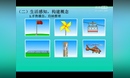 小学数学微课《平移和旋转》(安芳小学 黄爱雪)