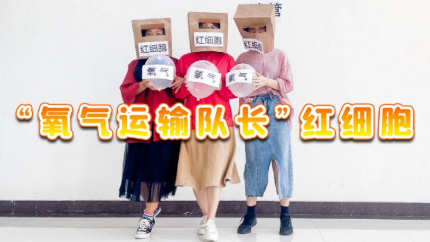 原来红细胞这么努力,看完之后,我决定对自己好一点!