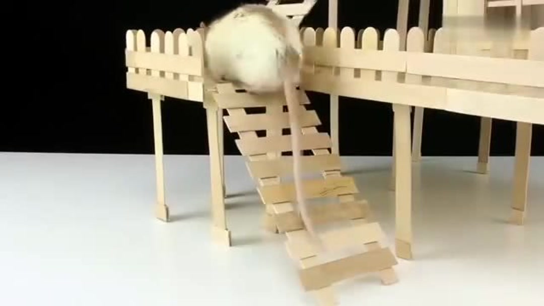 生活小窍门,为宠物小仓鼠DIY制作房子