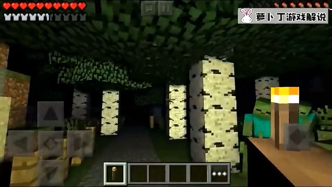 我的世界:303的实体被新手遇到了,大家想想会是什么下场呢?