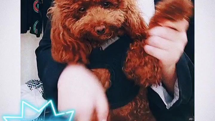 你你你你要跳舞吗?ߙ�ߙ�ߙ�#萌宠出道计划 #