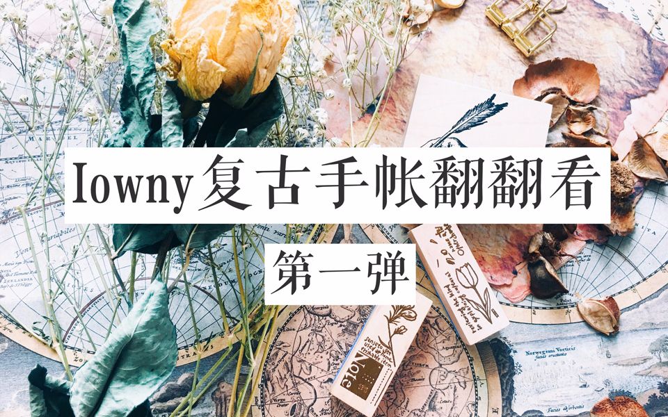 【Iowny手帐展示】第一本手帐纪念册,手帐翻翻看!复古风TN手帐翻翻看...
