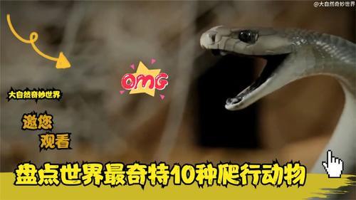 盘点世界上最奇特的10种爬行动物(中)