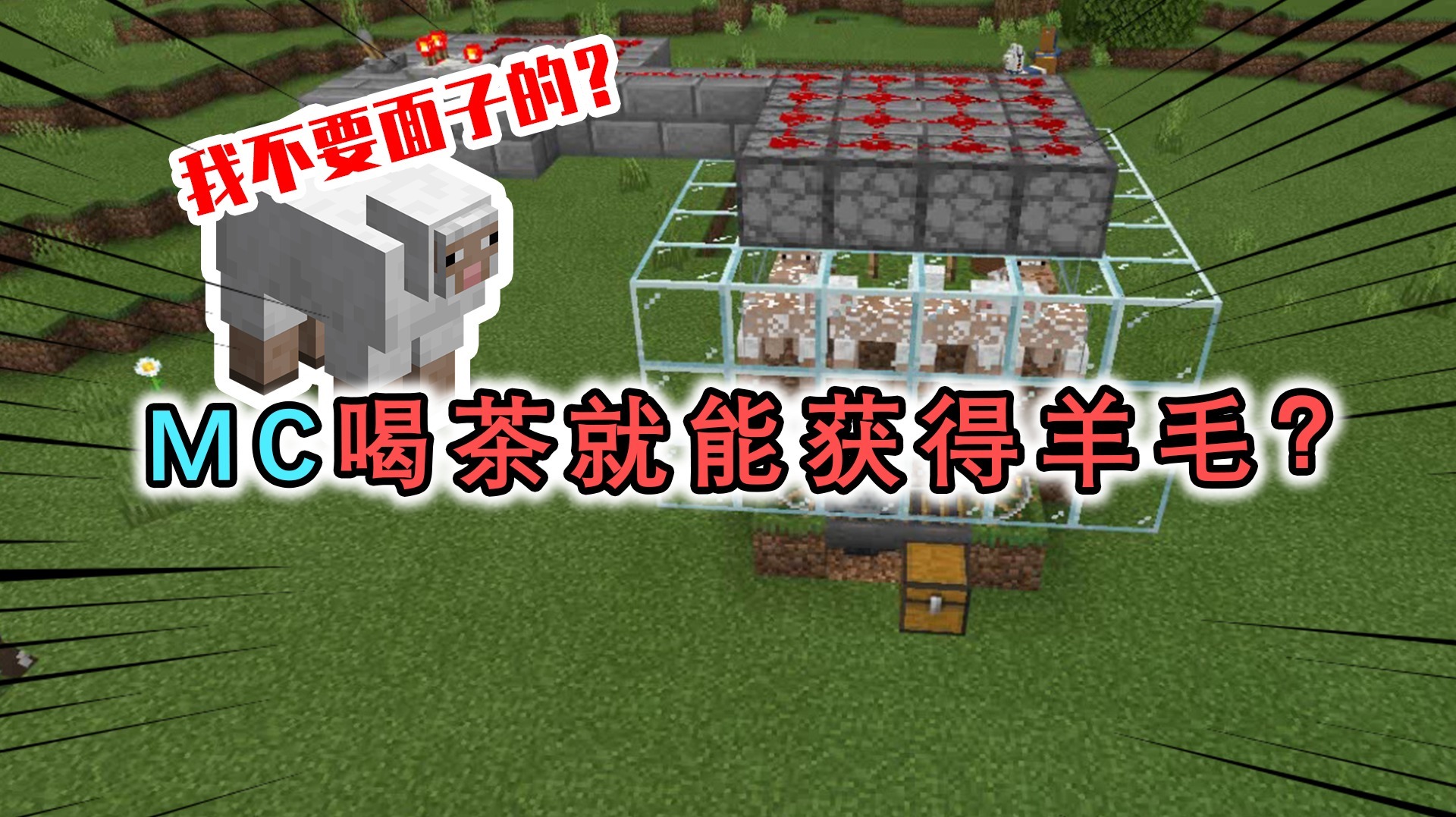MC可以挂机获得羊毛?全自动羊毛机问世,堪称生存挂机党福音!