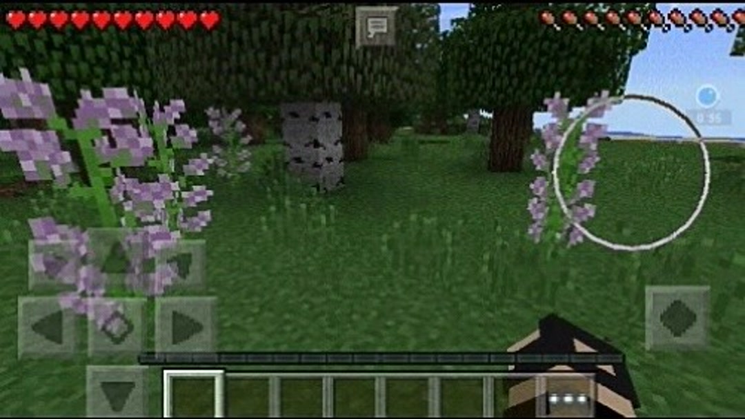 我的世界手机版生存小怕