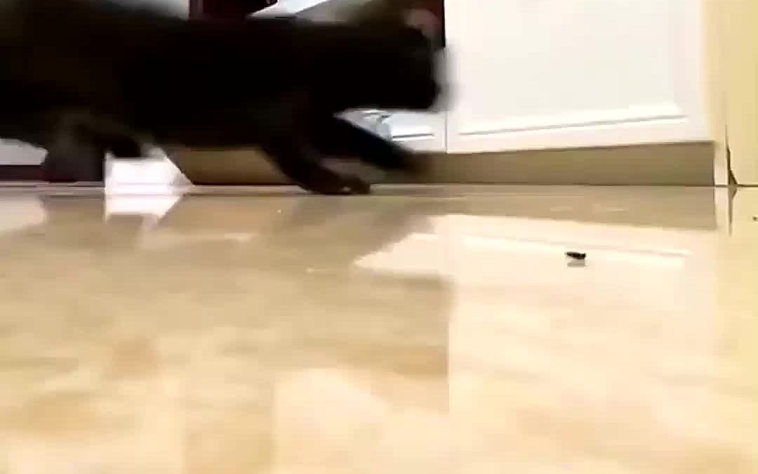 ...疆适用8K无人机高清专业航拍飞行器5000GPS遥控飞机无刷直升机