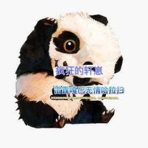 疯狂的轩崽 