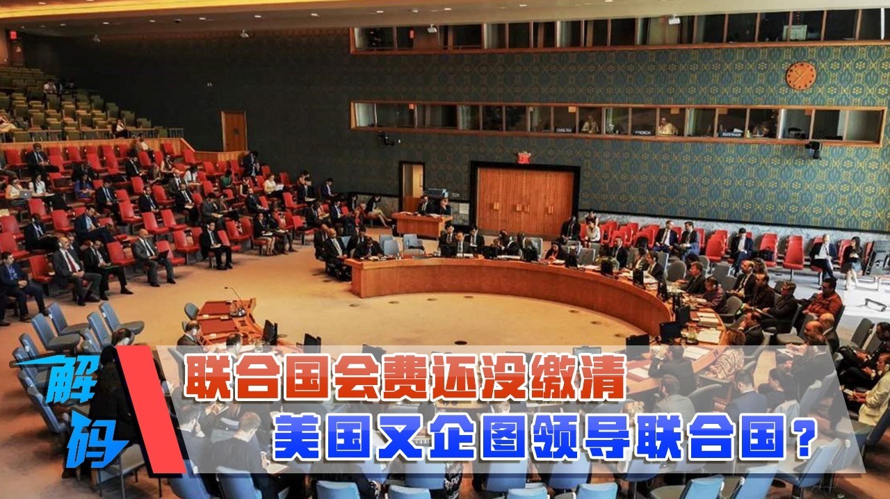 会费还没缴清,又想要领导联合国,想把联合国当做"私人工具"?