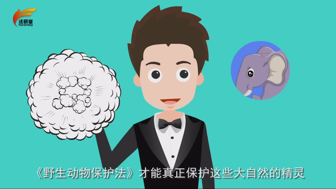中华人民共和国野生动物保护法相关法规动漫宣传