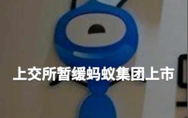 上交所:暂缓蚂蚁集团上市