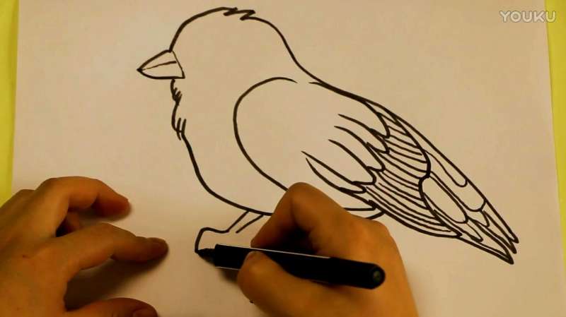 小鸟简笔画,教宝宝画小动物