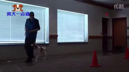 训狗教程 小狗怎么训练上厕所