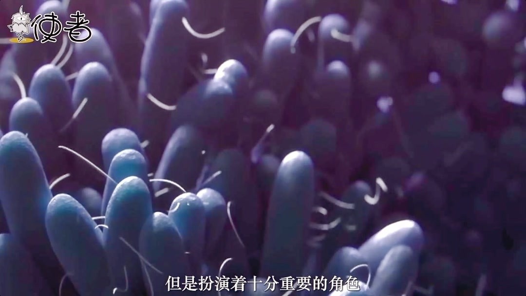 35亿年前它就在地球繁衍,存在于人体中,是人体细胞的10倍