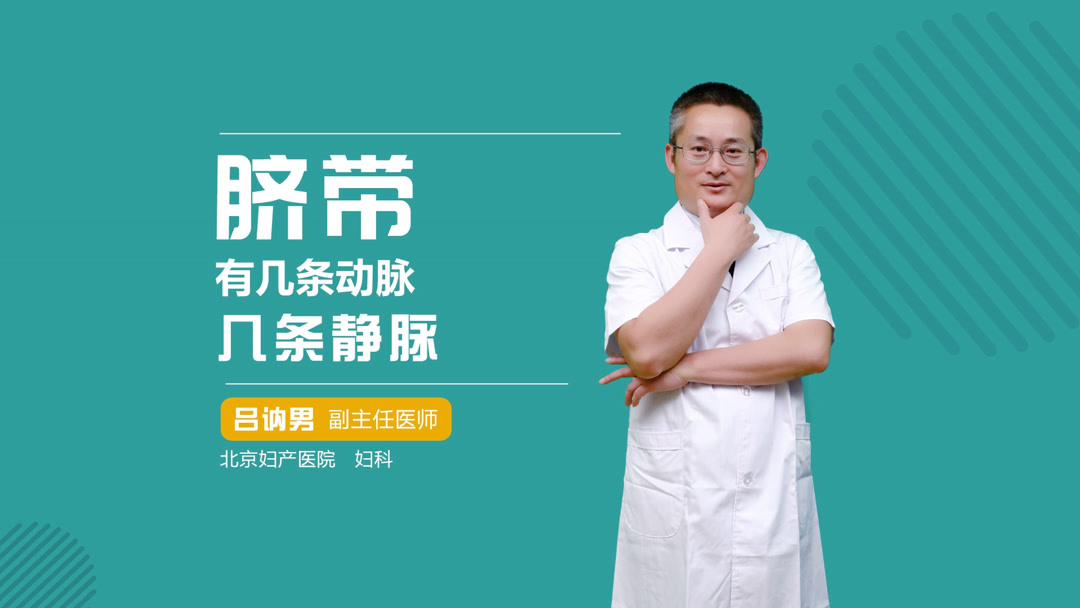 脐带有几条动脉几条静脉